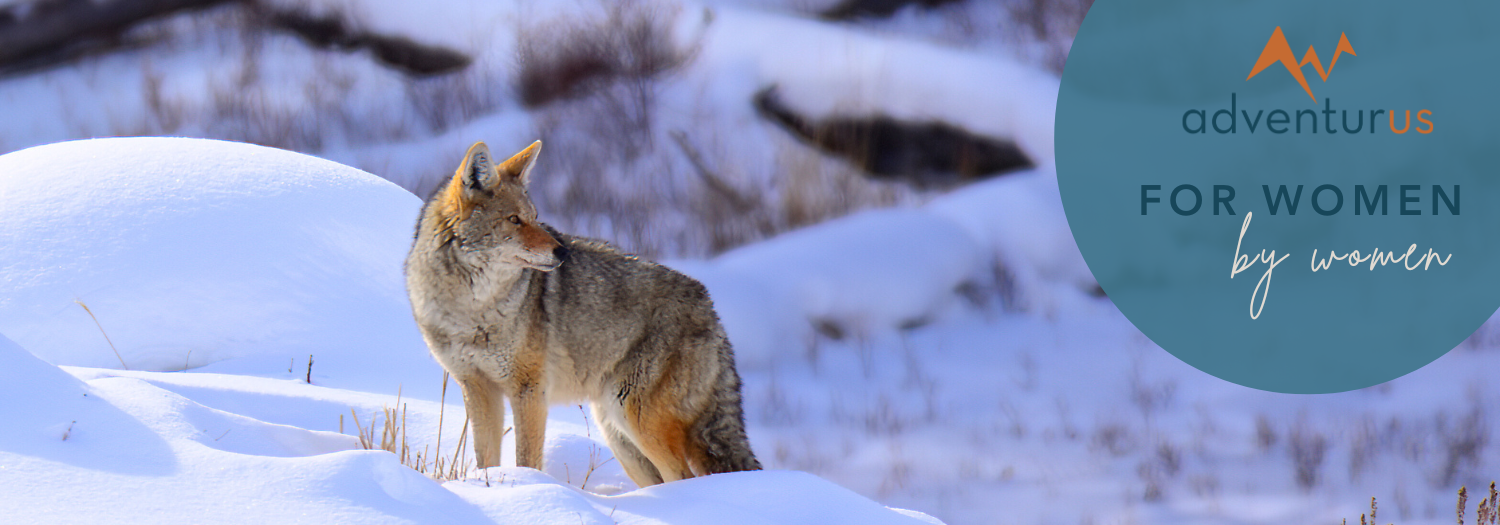 Yellowstone Women's Winter Active Adventure - The AdventurUs