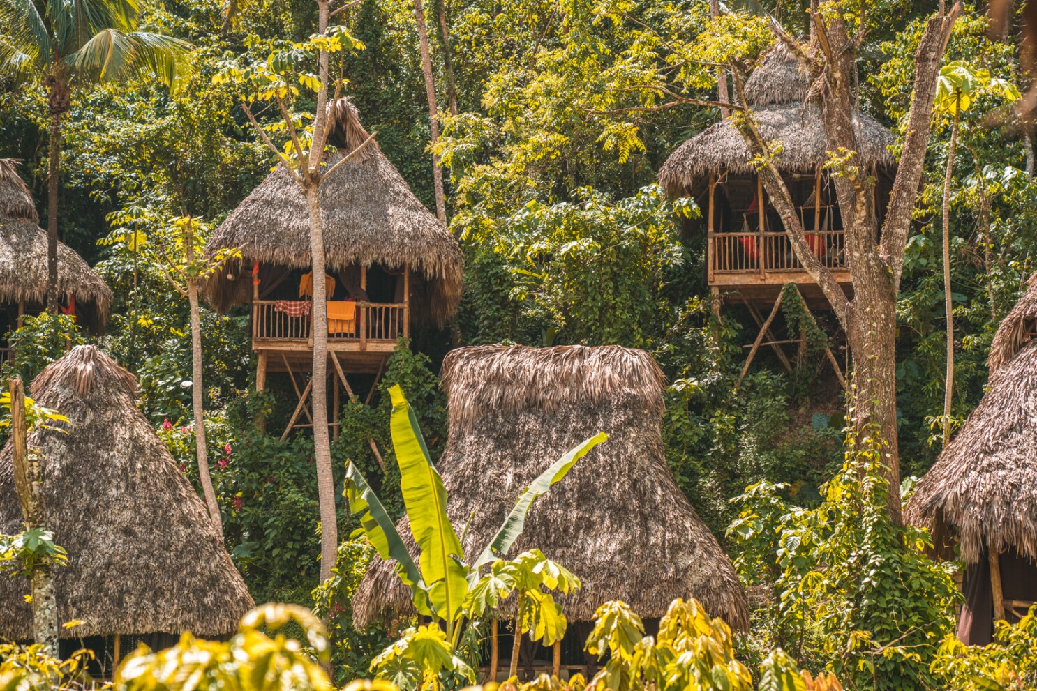 Dominican Republic Tree House New Year's Eve Party! - You Can't Steal ...