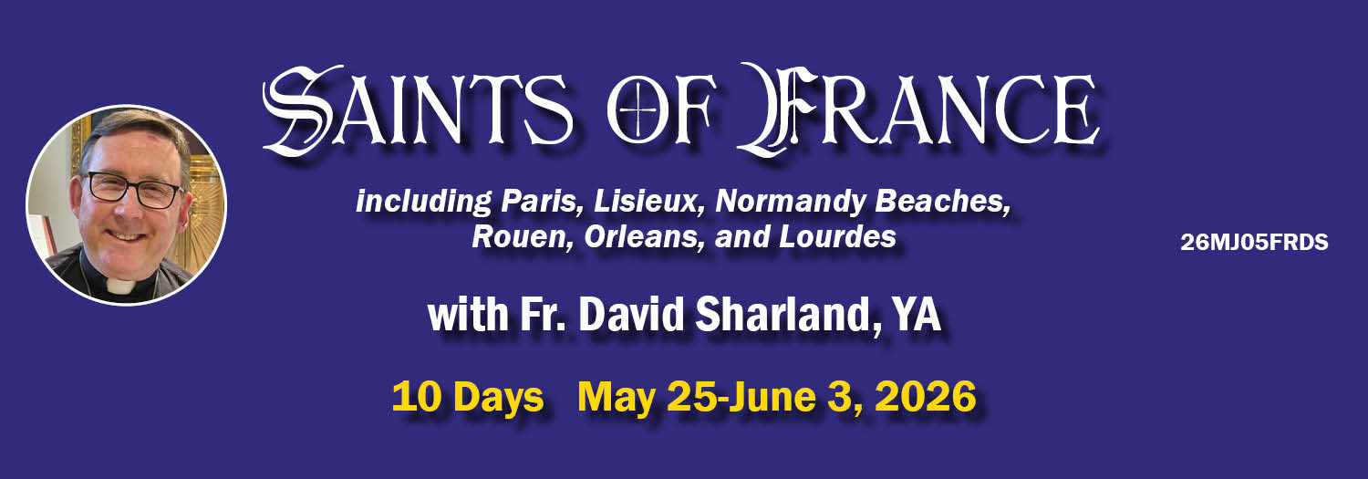 Saints of France with Fr. David Sharland, YA - 26MJ05FRDS - Select ...