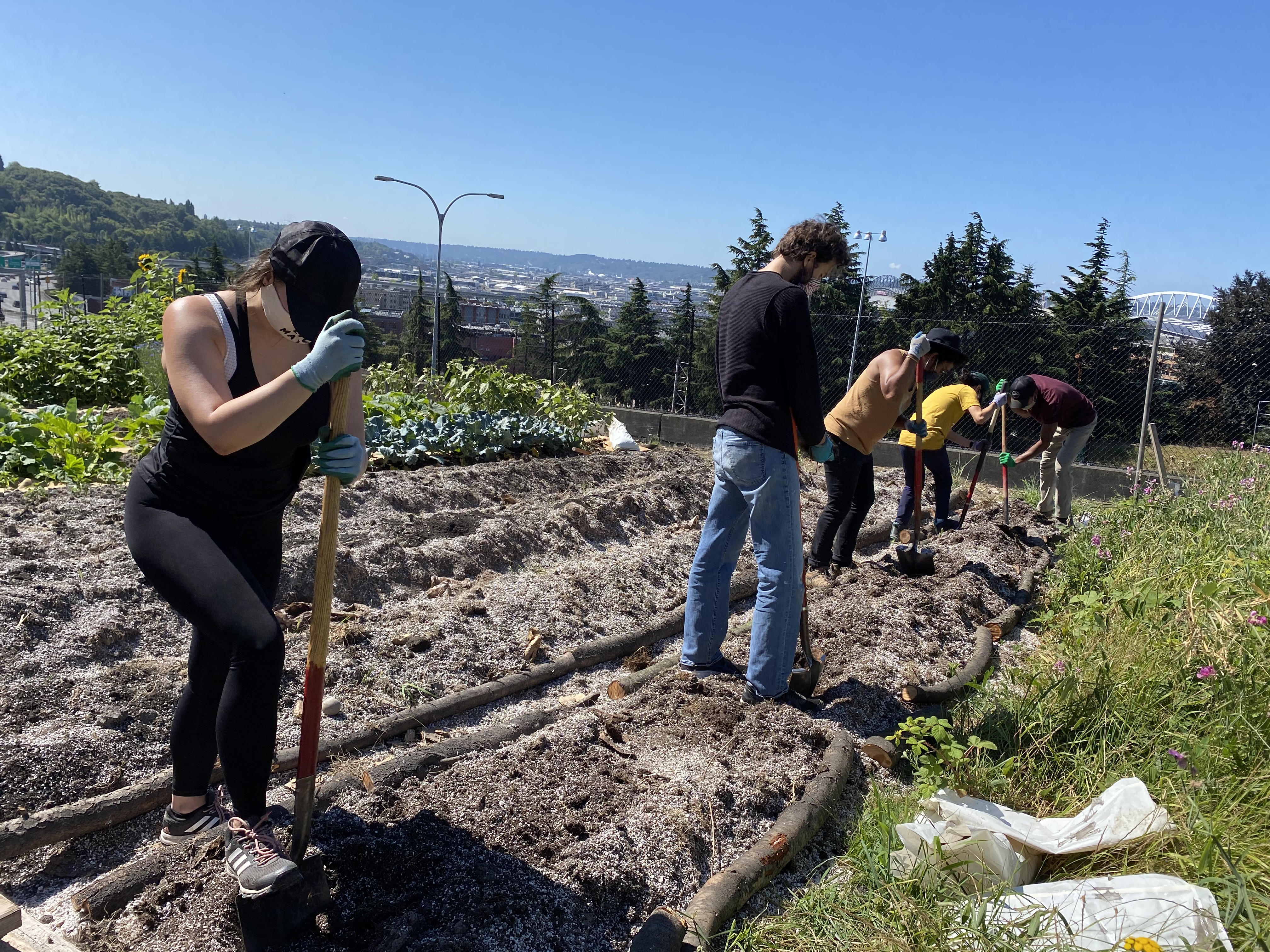 Custom Tour - The Power of Community Gardens with the Black Farmers ...