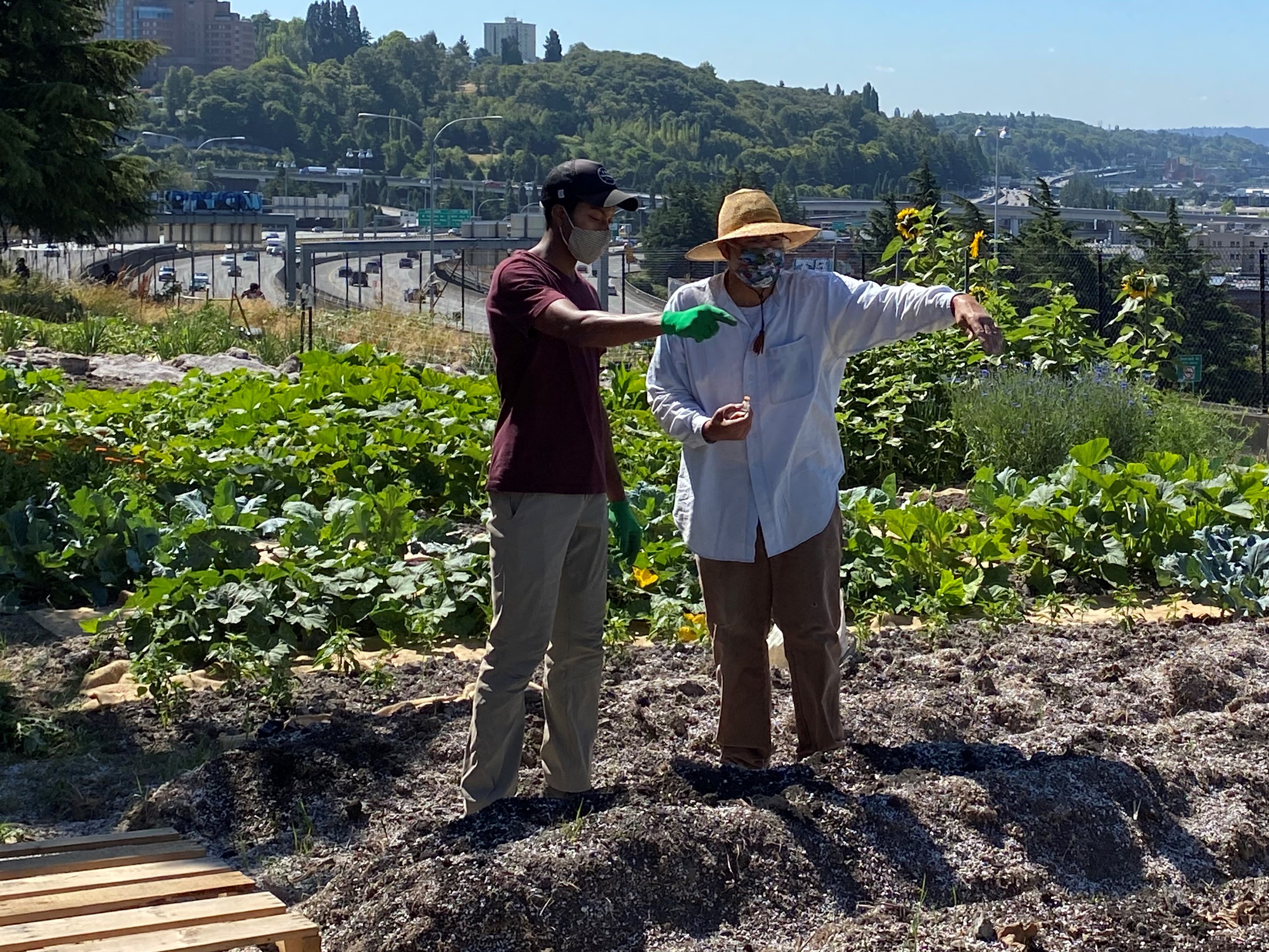 Custom Tour - The Power of Community Gardens with the Black Farmers ...