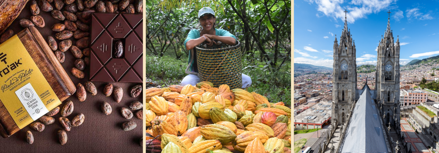 Ecuador Chocolate Expedition - Global Family Travels