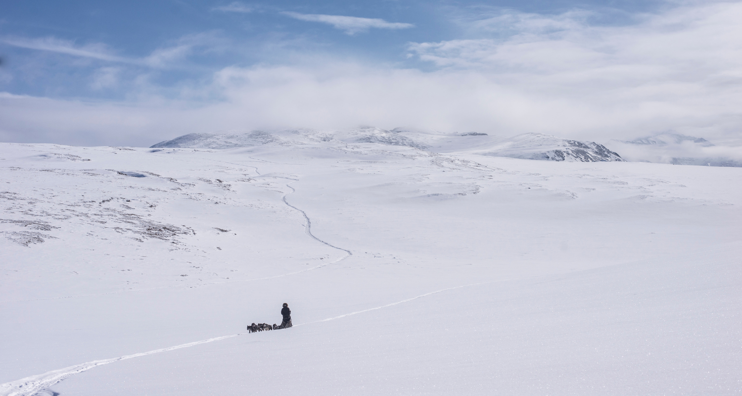 2027 Arctic Basecamp - Arctic Dog Adventure Co.